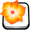 Adobe Illustrator icon 256x256px (ico, png, icns) - free download ...
