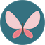 Butterfly icon 256x256px (ico, png, icns) - free download | Icons101.com
