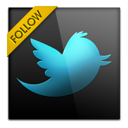 twitter icon 256x256px (ico, png, icns) - free download | Icons101.com