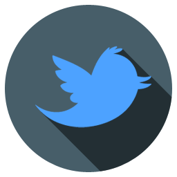 twitter icon 256x256px (ico, png, icns) - free download | Icons101.com