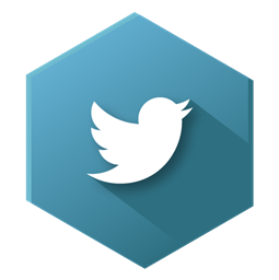 Twitter icon 256x256px (ico, png, icns) - free download | Icons101.com