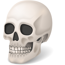 Skull icon 256x256px (ico, png, icns) - free download | Icons101.com