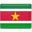 Suriname-Flag icon 256x256px (ico, png, icns) - free download ...